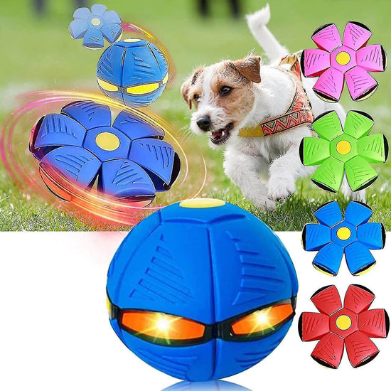 Flying Saucer Doggy Disc Ball for Active Dogs